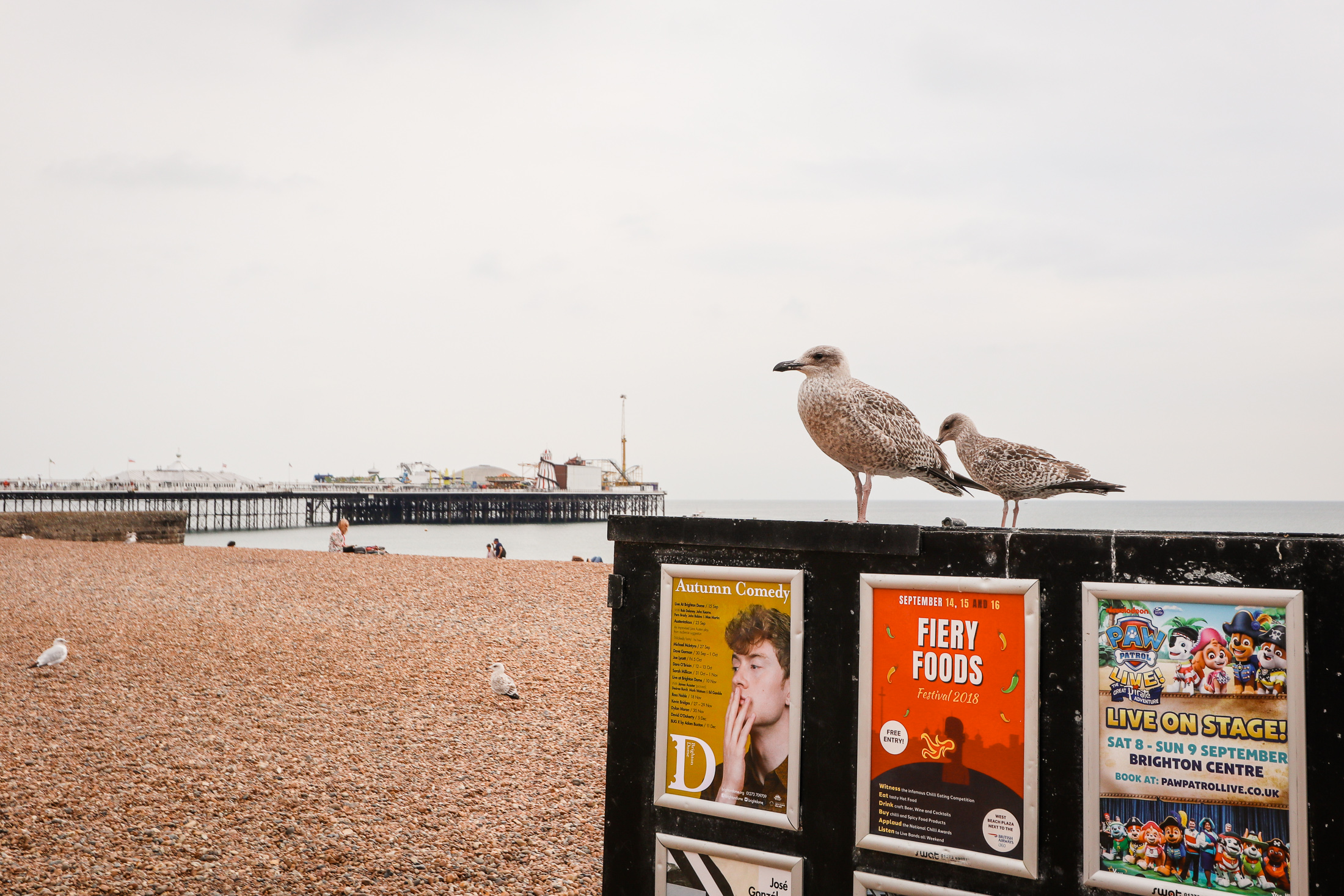 A self-guided walking tour of Brighton, UK - A Globe Well Travelled